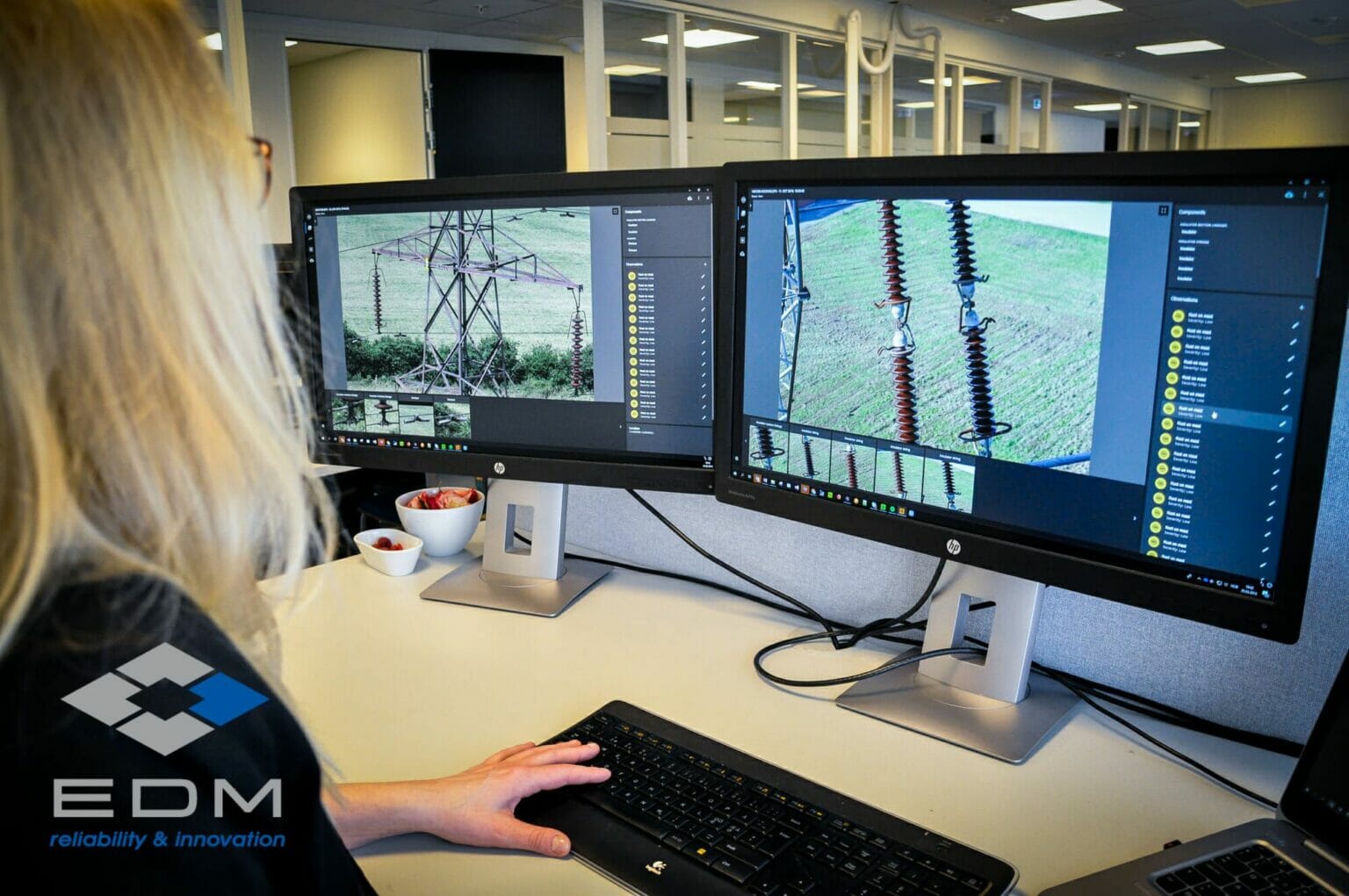 Grid Vision® by eSmart Systems